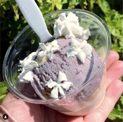 RHEA’S ICE CREAM - GRUENE - 104 Photos & 42 Reviews - Ice Cream ...