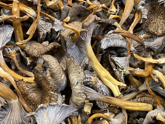 ITALIAN CENTRE SHOP - Updated September 2025 - 109 Photos & 65 Reviews ...