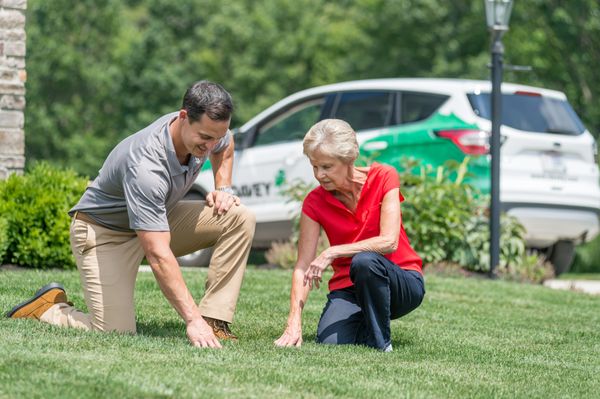 THE DAVEY TREE EXPERT COMPANY - Updated December 2025 - 14 Photos & 31 ...