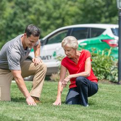 THE DAVEY TREE EXPERT COMPANY - 14 Photos & 19 Reviews - 6264 Lemay ...