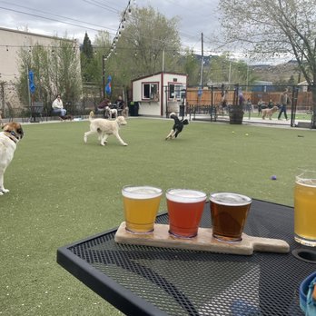 PUB DOG COLORADO - Updated October 2024 - 230 Photos & 235 Reviews ...