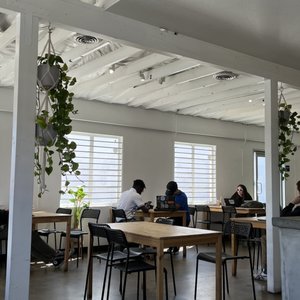 BACK TO THE GRIND - 368 Photos & 548 Reviews - Coffee & Tea - 3575 ...