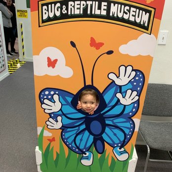 BUG & REPTILE MUSEUM - Updated October 2025 - 66 Photos & 42 Reviews ...