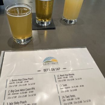 BACK FORTY BEER COMPANY - Updated February 2025 - 41 Photos & 32 ...
