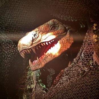 JURASSIC JUNGLE BOAT RIDE - Updated October 2024 - 73 Photos & 214 ...