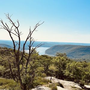 TRAILSIDE MUSEUMS & ZOO - Updated November 2025 - 188 Photos & 34 ...