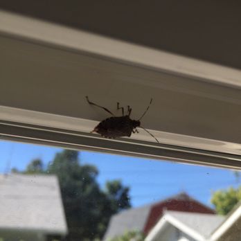 ANCHOR PEST CONTROL SERVICE - Updated October 2025 - 27 Reviews ...