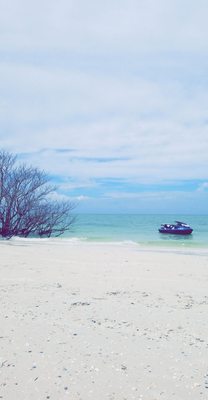 3 ROOKER ISLAND - Updated December 2025 - 14 Photos - Pinellas County ...