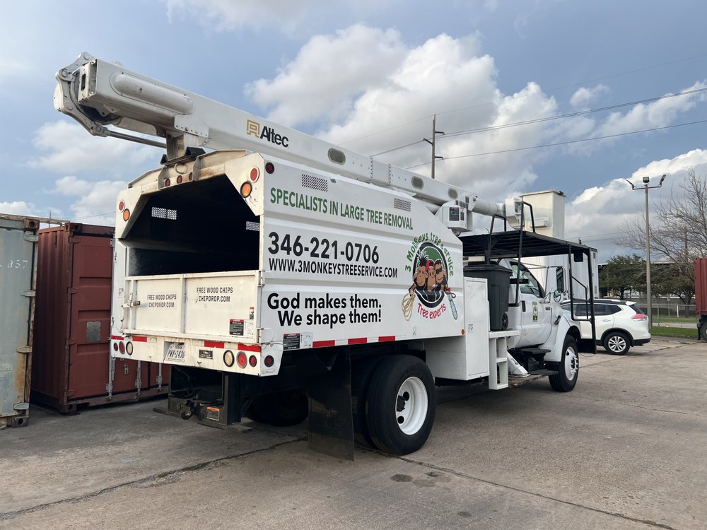 SIGNS X-PRESS PLUS OF HOUSTON - 73 Photos - 11204 Hempstead Rd, Houston ...