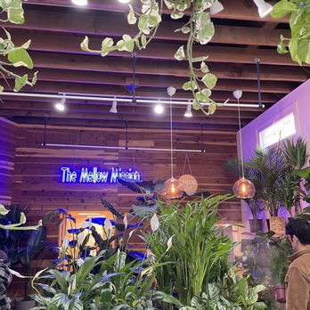THE MELLOW SF - Updated December 2025 - 97 Photos & 110 Reviews - 3236 ...
