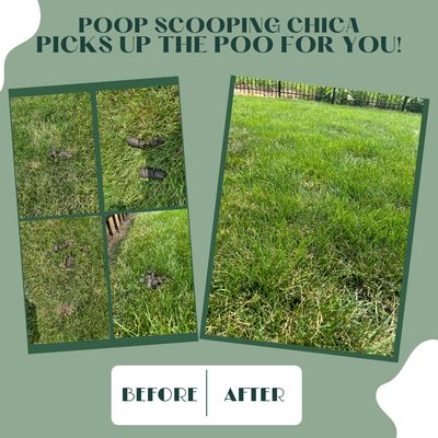 POOP SCOOPING CHICA - Updated March 2025 - Request Information - Savoy ...