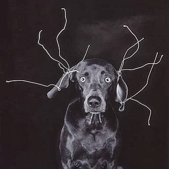 ADDISON IMPROV - Updated August 2025 - 147 Photos & 341 Reviews - 4980 ...