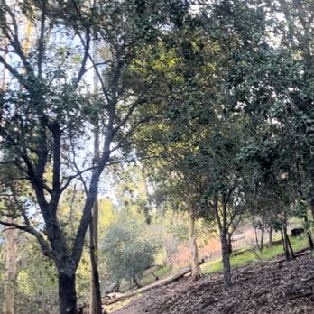 MURPHY RANCH PARK - Updated July 2024 - 205 Photos & 55 Reviews - 16200 ...