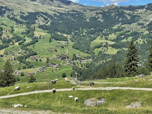 RODELBAHN PFINGSTEGG - Rybigässli 25, Grindelwald, Bern, Switzerland - Yelp