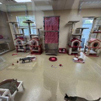 FLORIDA HUMANE SOCIETY - Updated January 2026 - 47 Photos & 57 Reviews ...