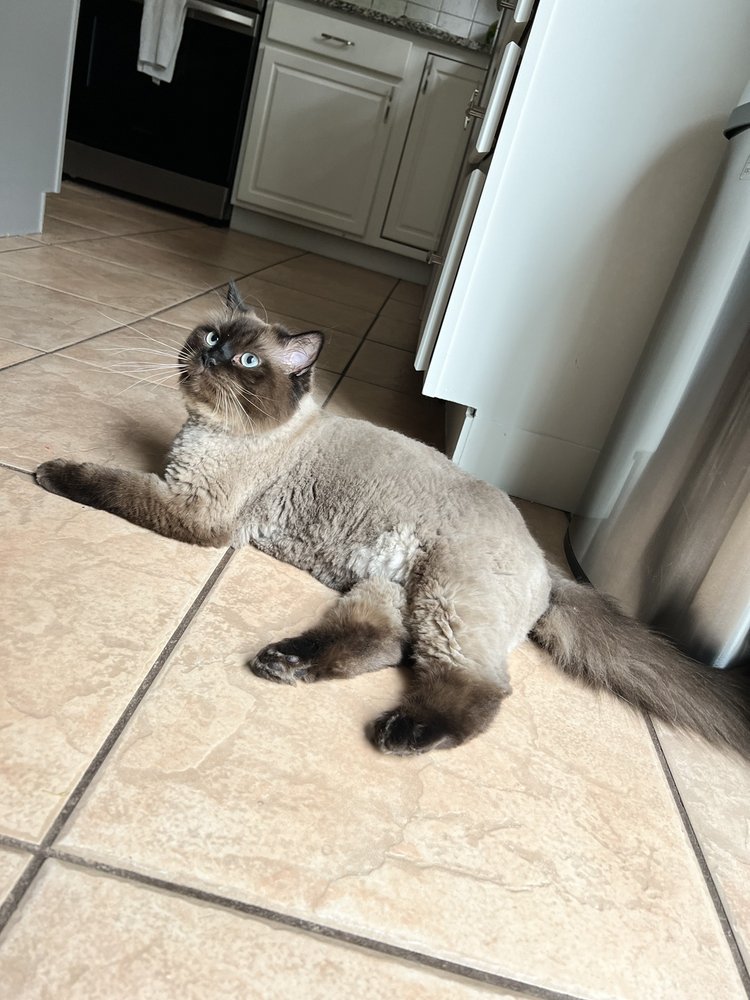 ALL GOD’S CREATURES - Updated January 2026 - 139 Kenwood Dr N ...