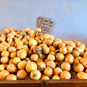 POINT LOMA SEAFOODS - 2658 Photos & 2497 Reviews - Seafood Markets ...