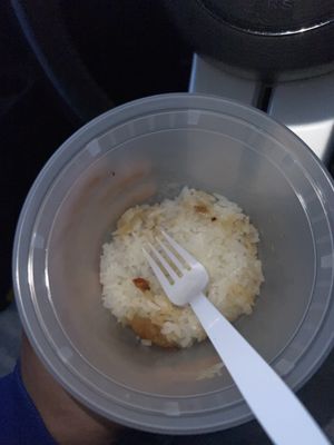 ROYAL TEA BOBA & SANDWICHES - Updated June 2024 - 10 Reviews - 1296 N ...