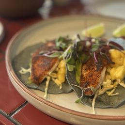 DIVE - Updated November 2025 - 118 Photos & 69 Reviews - 1417 Orange ...