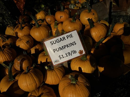 STALKER FARMS - Updated October 2025 - 51 Photos & 103 Reviews - 8705 ...