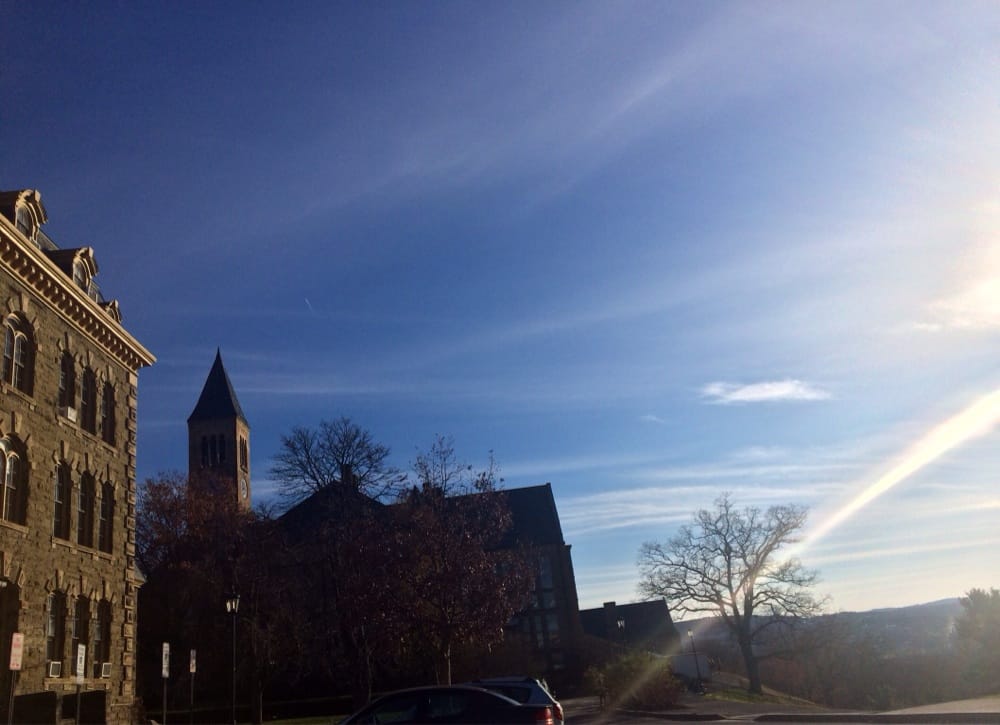 OLIN LIBRARY - Updated December 2025 - 10 Photos - 161 Ho Plz, Ithaca ...