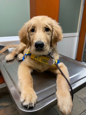 SACRAMENTO ANIMAL HOSPITAL - Updated November 2025 - 74 Photos & 221 ...