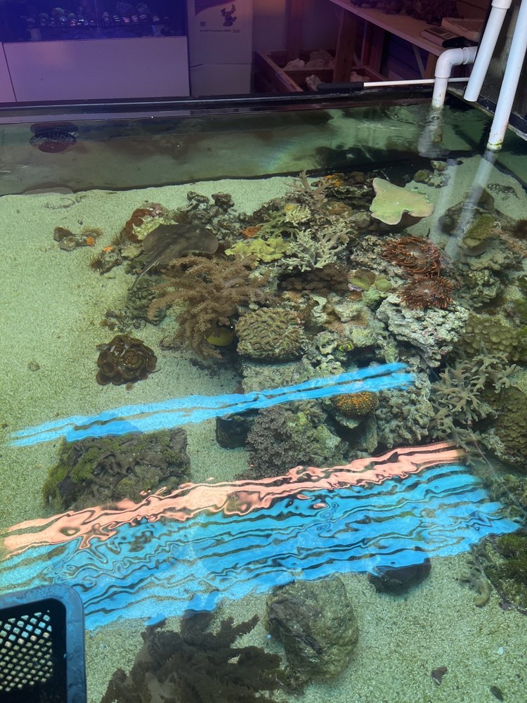 OCEAN AVENUE - 34 Photos & 20 Reviews - 6401 S Cooper St, Arlington ...