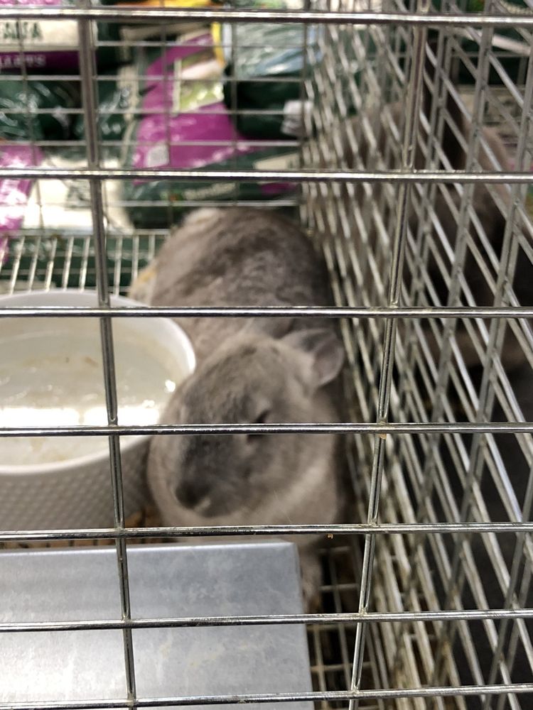 RURAL KING - Updated June 2025 - 28 Photos & 19 Reviews - 10400 ...