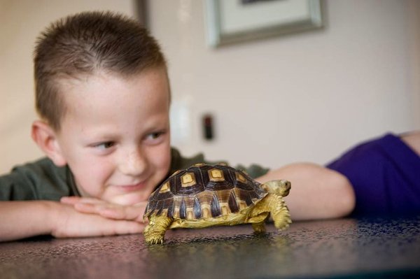 BLUEPEARL PET HOSPITAL - Updated January 2026 - 60 Photos & 184 Real ...