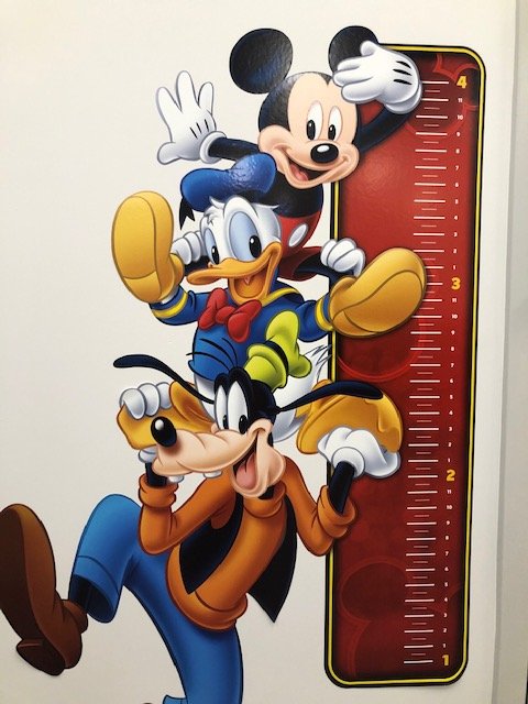 PROHEALTH PEDIATRICS - MELVILLE - Updated August 2025 - 10 Reviews ...