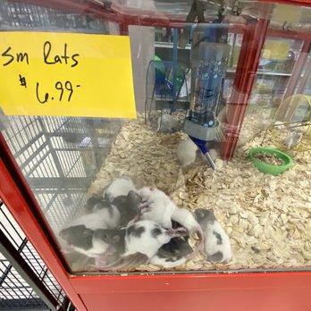 HEARTLAND PETS - Updated January 2026 - 15 Photos & 13 Reviews - 573 ...