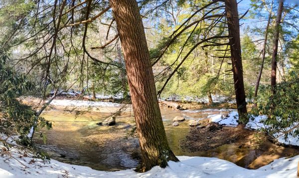 LINN RUN STATE PARK - 71 Photos - 770 Linn Run Rd, Rector, Pennsylvania ...