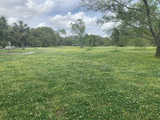 CITY PARK DISC GOLF COURSE - 26 Photos - 1 Palm Dr, New Orleans ...