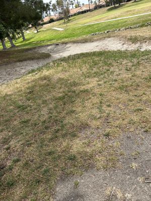 CALIFORNIA OAKS GOLF CLUB - Updated January 2026 - 47 Photos & 152 ...