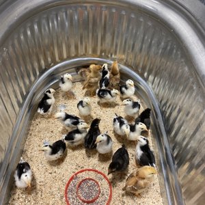 NRS WORLD, Decatur, Texas - 4650 US-287 - Updated October 2024 - 13 ...