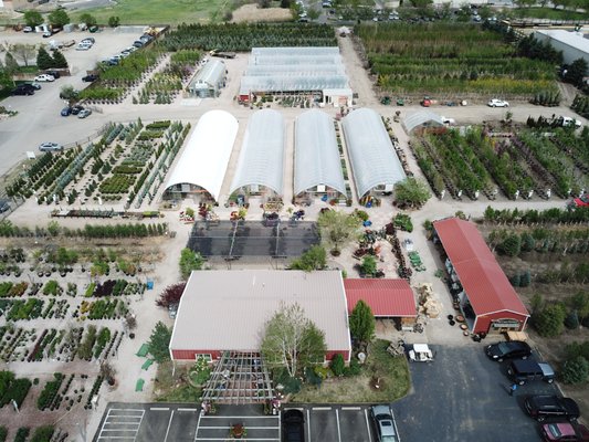 PINE LANE NURSERY - Updated March 2026 - 246 Photos & 53 Reviews ...