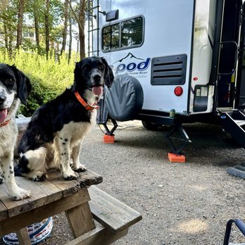 SEA & SAND RV PARK - Updated December 2025 - 85 Photos & 84 Reviews ...