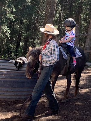 BUCKS LIVERY - 22 Photos & 24 Reviews - Hwy 550 N Durango Mtn Resort ...