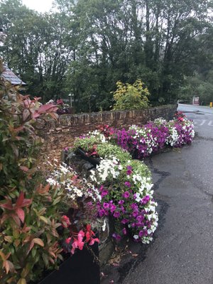 BROOK INN - Pubs - Sallybrook, Glanmire, Co. Cork, Republic of Ireland ...