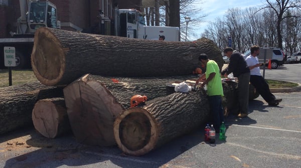 BOOT ROAD TREE SERVICE - Updated November 2025 - 15 Photos - 34 ...