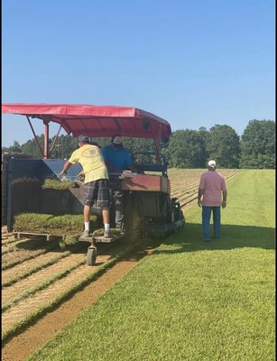 MISSISSIPPI GRASS FARMS - Updated September 2025 - 117 Old Hwy 49 ...