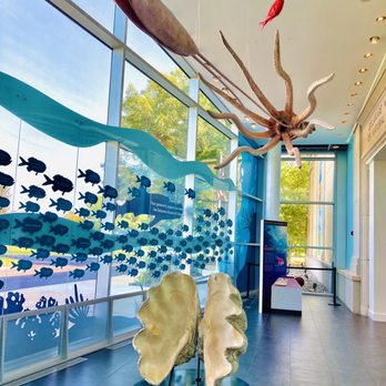 DELAWARE MUSEUM OF NATURE AND SCIENCE - Updated January 2026 - 137 ...