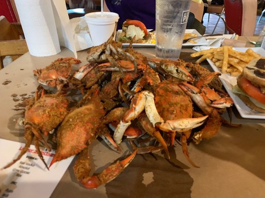 PIKES CINEMA BAR AND GRILL - 146 Photos & 103 Reviews 【921 Reisterstown ...