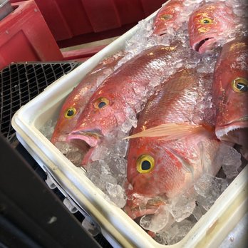 SONIA’S SEAFOOD RESTAURANT - Updated 2024 - 112 Photos & 90 Reviews ...