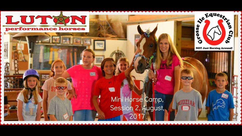 LUTON RIDING ACADEMY - Updated December 2025 - 27 Photos - 25795 3rd St ...