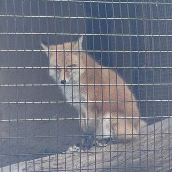 CALM ZOO - Updated September 2025 - 494 Photos & 166 Reviews - 10500 ...