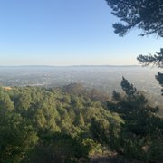 BERKELEY FIRE TRAILS - Parks - Cherry Blossom Park, Hiking Trails ...