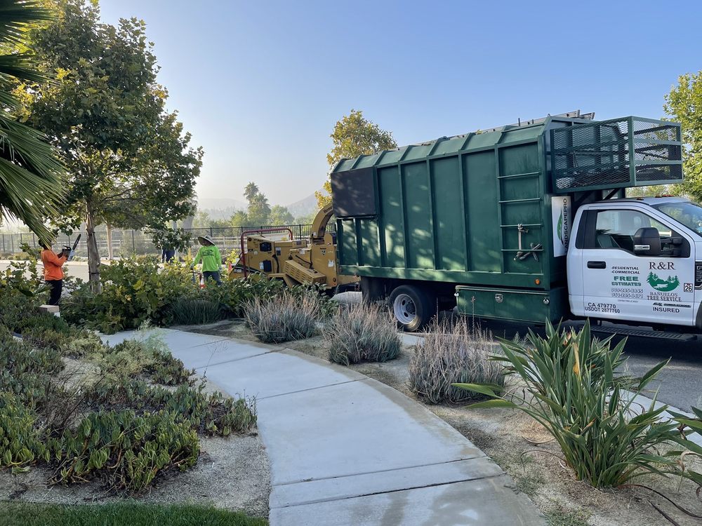 ADVANCE TREE SERVICE - Updated July 2025 - 133 Photos & 26 Reviews ...