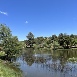 KQ RANCH - 433 Photos & 241 Reviews - 449 Kq Ranch Rd, Julian ...