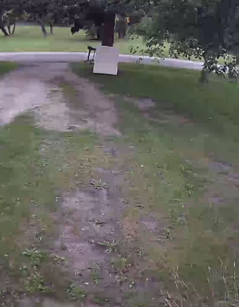 GROOT INDUSTRIES - Updated December 2025 - 13 Reviews - 40 Porter Dr ...